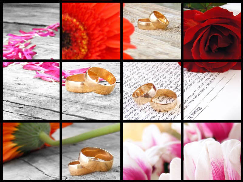 Wedding collage stock image. Image of clothes, flower - 18849967