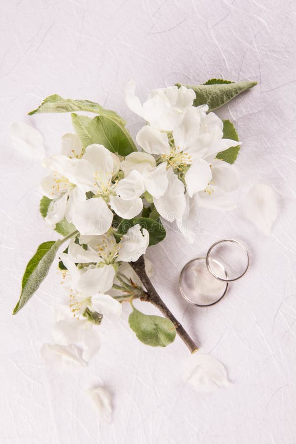 Wedding Concept with Apple-tree Flowers Stock Photo - Image of silver ...