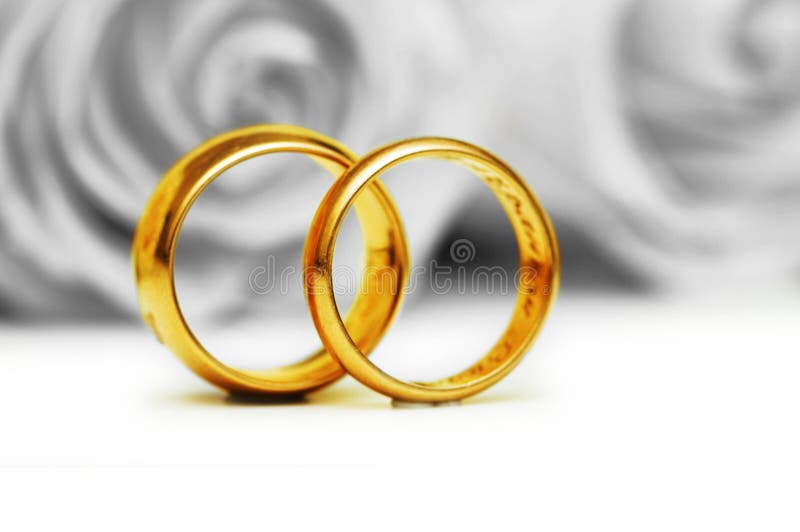 Wedding Concept - Roses and Rings Stock Photo - Image of metal, close ...