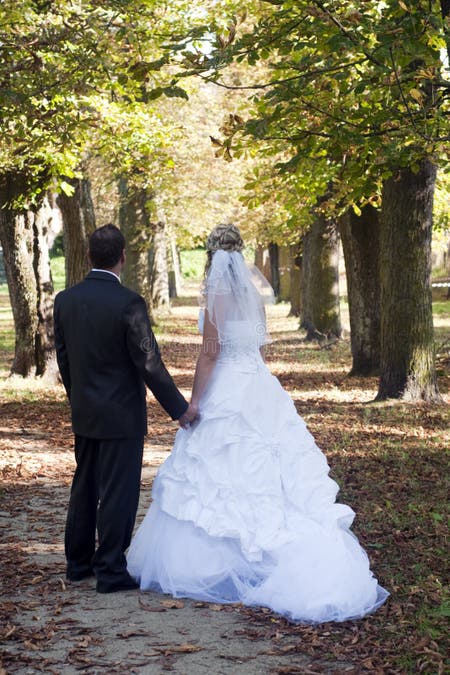 Wedding couple stock image. Image of posing, husband - 21448291