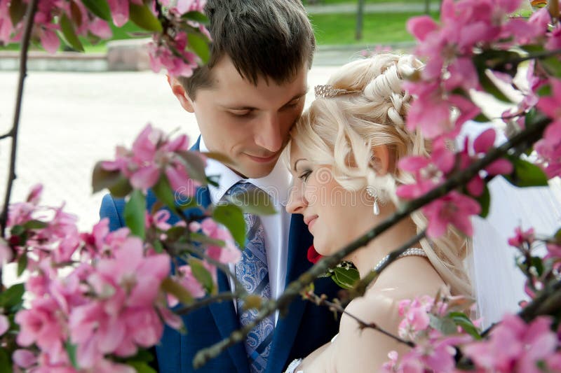 Wedding Couple in Branches of Blooming Tree Stock Image - Image of pair ...
