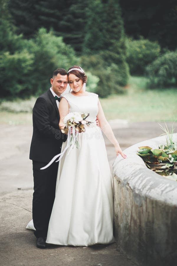 Wedding Couple Bride and Groom Holding Hands Stock Image - Image of ...