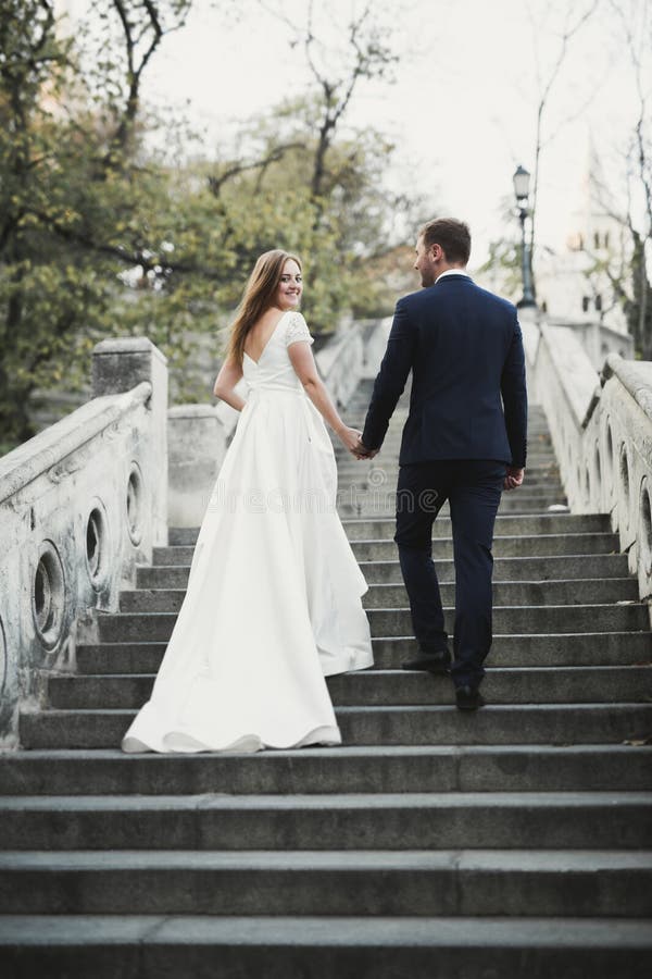 Wedding Couple Bride and Groom Holding Hands Stock Image - Image of ...
