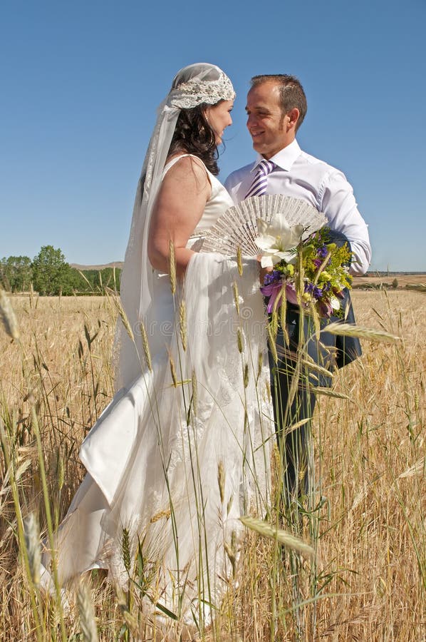 Wedding Couple in the Field Stock Image - Image of confirmation ...