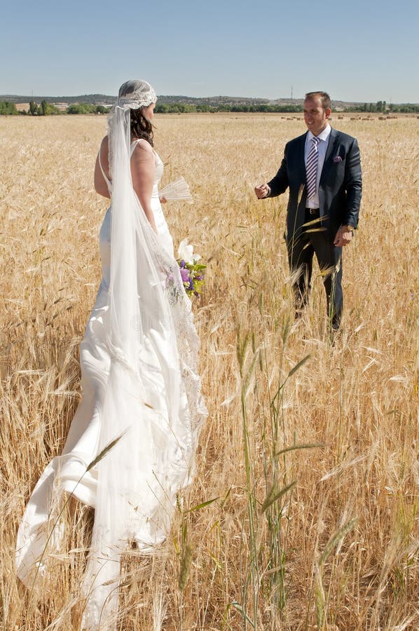 Wedding Couple in the Field Stock Image - Image of marriage, bride ...