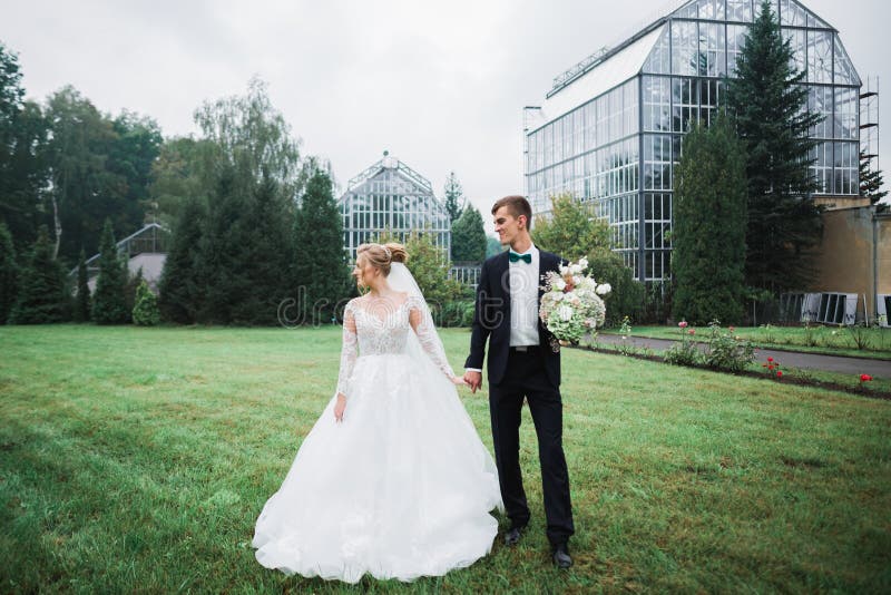 Wedding Couple Holding Hands, Groom and Bride Together on Wedding Day ...
