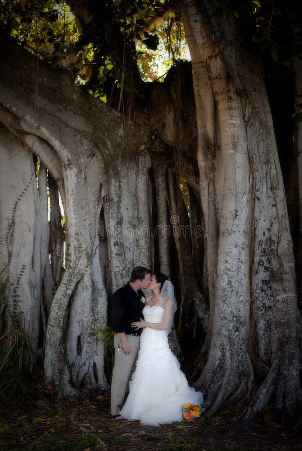 Bride and flower girl stock photo. Image of outside, hold - 15238452