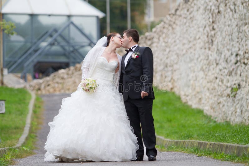 Wedding couple kissing stock image. Image of happiness - 11004543