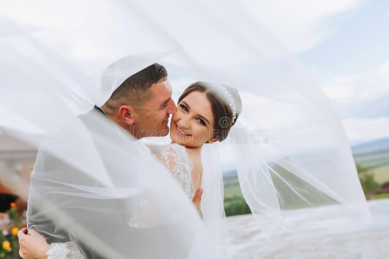 Wedding Couple on Nature. Bride and Groom Hugging Under the Veil Stock ...