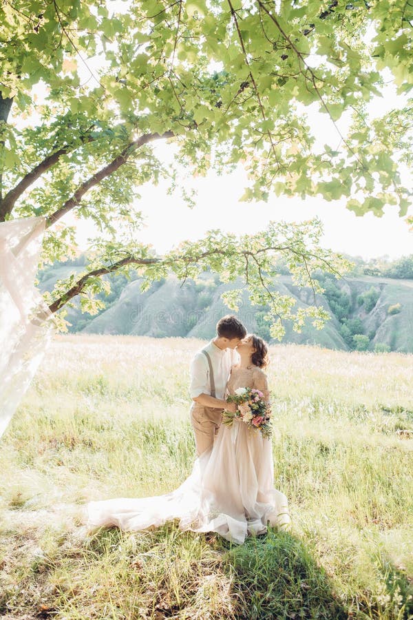 Wedding Couple on Nature. Bride and Groom Hugging at Wedding. Stock ...