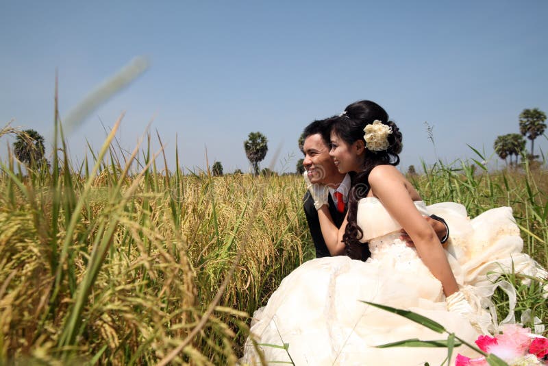 Just Married Rice Stock Photos - Free & Royalty-Free Stock Photos from ...