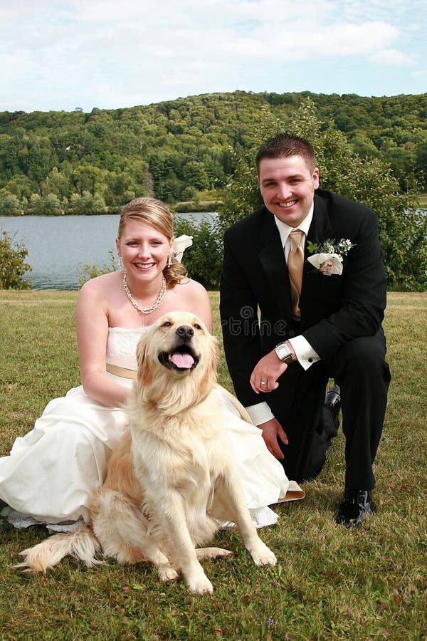 Wedding couple and pet stock photo. Image of couple, beautiful - 3093116