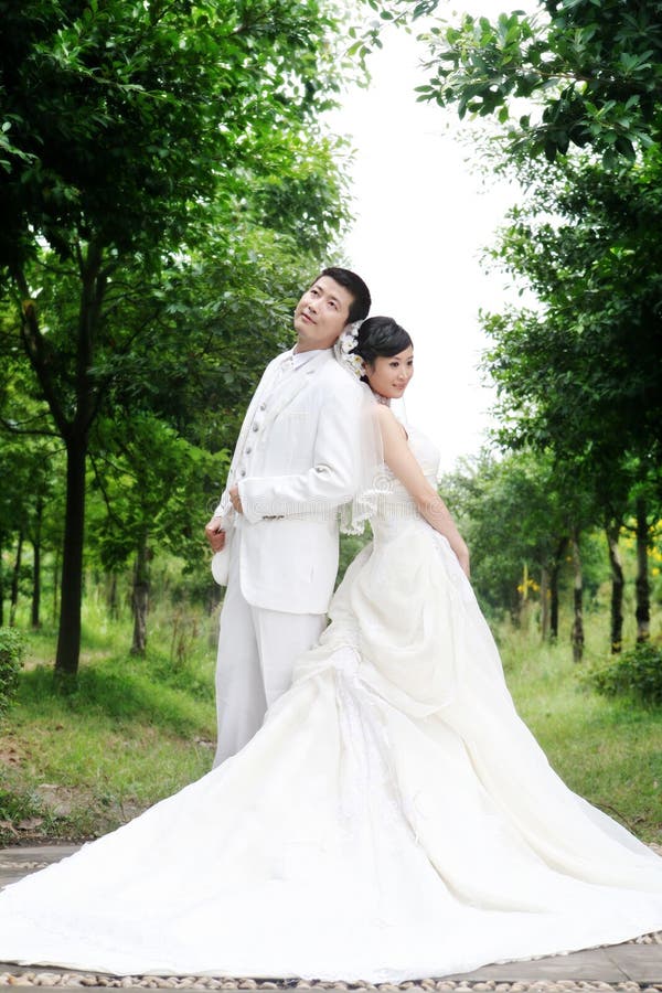 Wedding couple portrait stock photo. Image of book, hair - 16163710