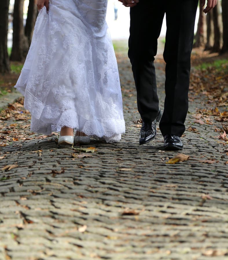 Wedding couple stock image. Image of posing, husband - 21448291