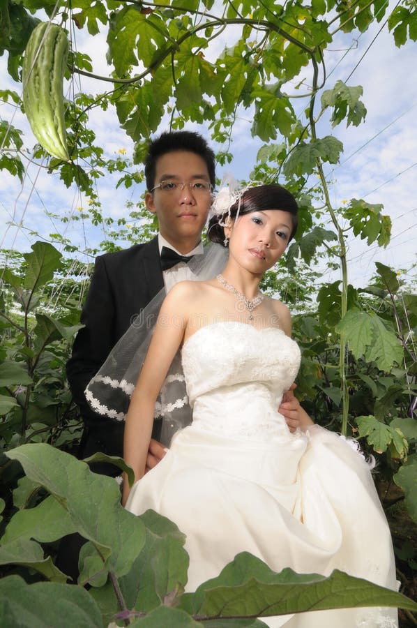 Wedding couples stock image. Image of black, love, happiness - 13076391