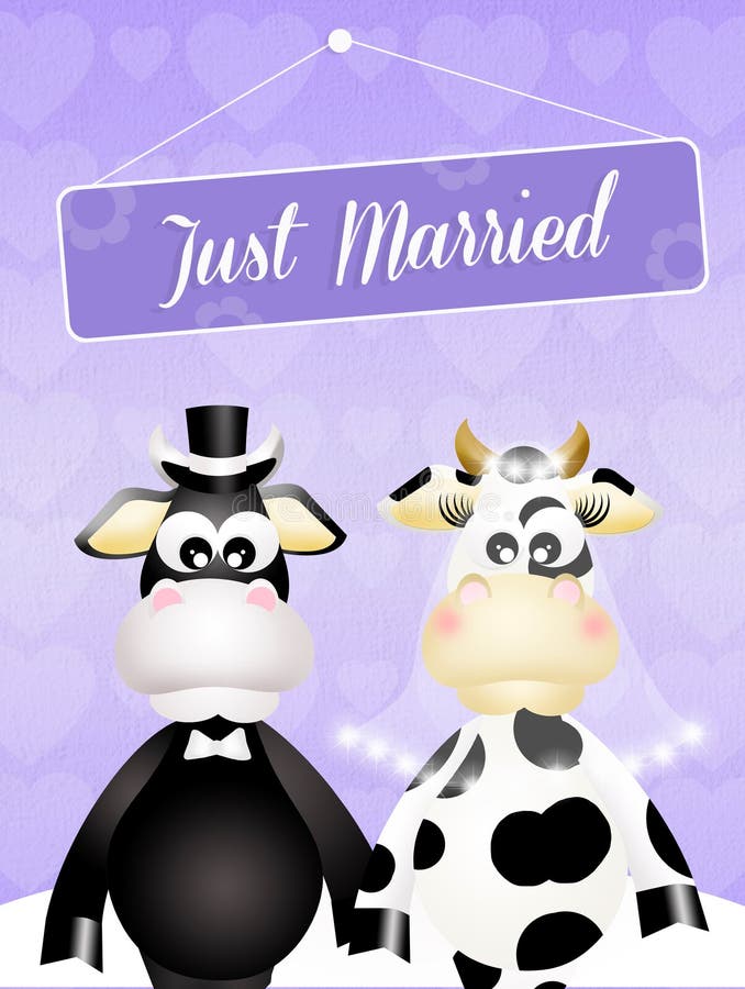 Wedding of cows stock illustration. Illustration of nature - 37212380