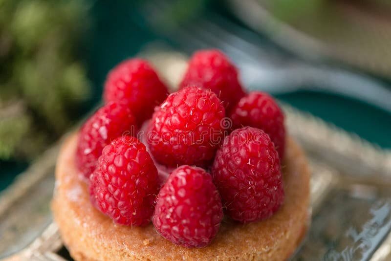 Raspberry Dessert. Table Setting. Wedding Decor in the Magic Forest for ...