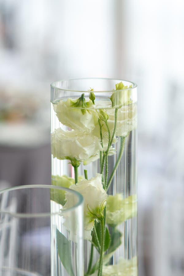 Wedding Decor. Rose in Glass of Water Stock Photo - Image of banquet ...