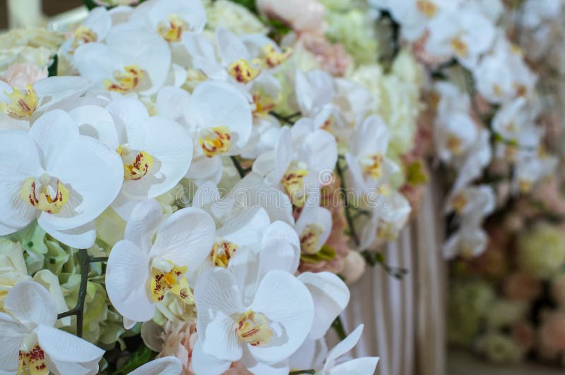 Wedding Decorations with White Roses Stock Photo - Image of beautiful ...