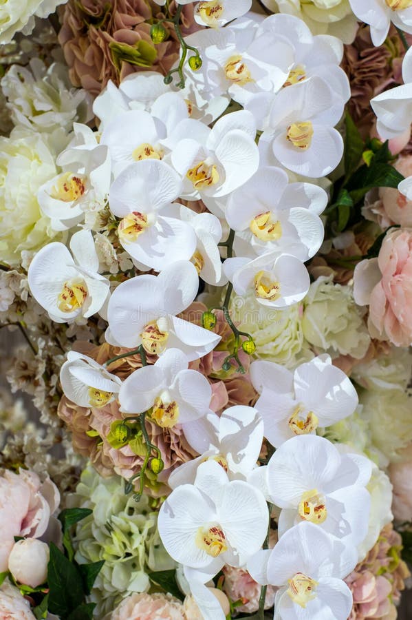 Wedding Decorations with White Roses Stock Image - Image of decor ...