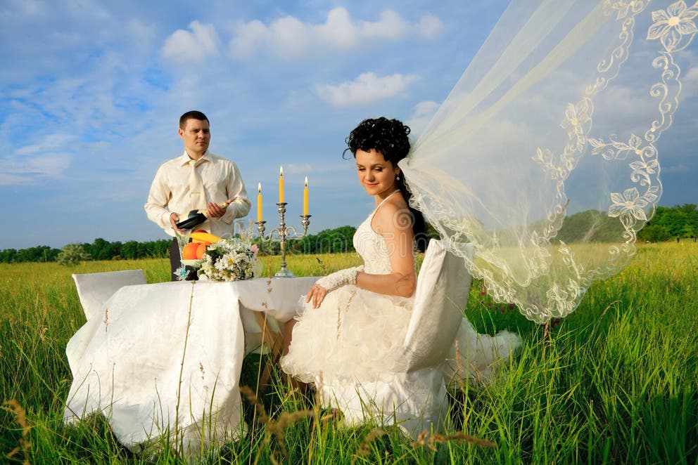 Wedding Dinner on the Field Stock Photo - Image of champagne, newlyweds ...