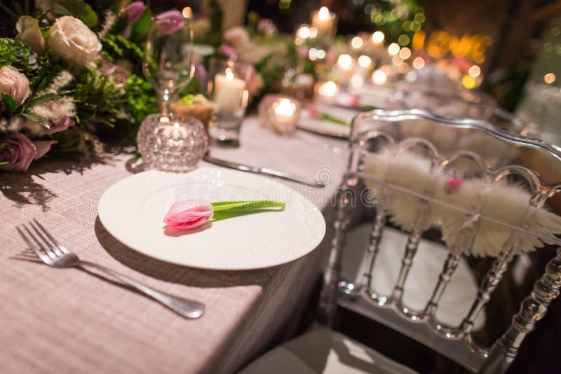 Wedding dinner stock image. Image of event, food, dinnerware - 64853135