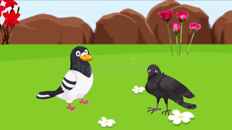The Wedding of a Dove and a Crow Stock Footage - Video of waterbird ...
