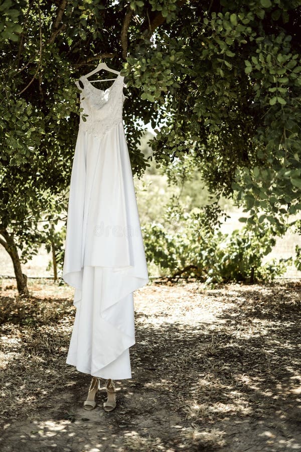 Wedding Dress Hang on Tree in the Summer Stock Image - Image of female ...