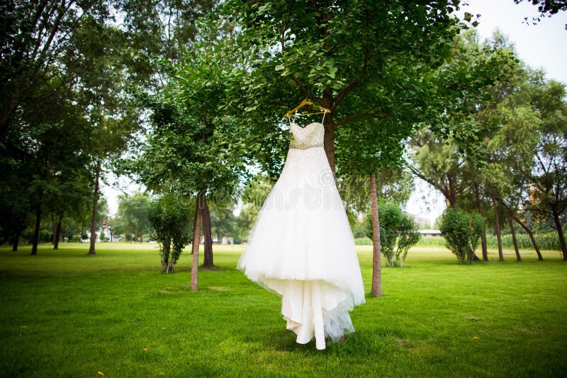 Wedding dress stock image. Image of fashion, bride, beautiful - 38192439