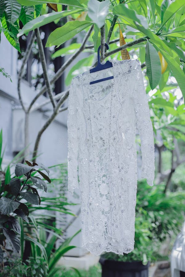 A Wedding Dress is Hanging between Two Trees. Stock Photo - Image of ...