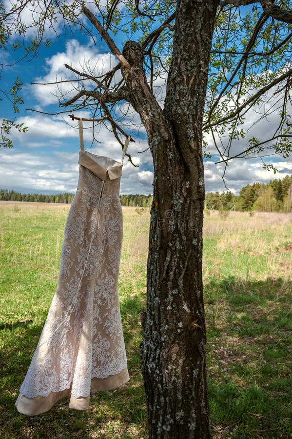 Wedding Dress on a Tree Against a Cloudly Sky Stock Photo - Image of ...