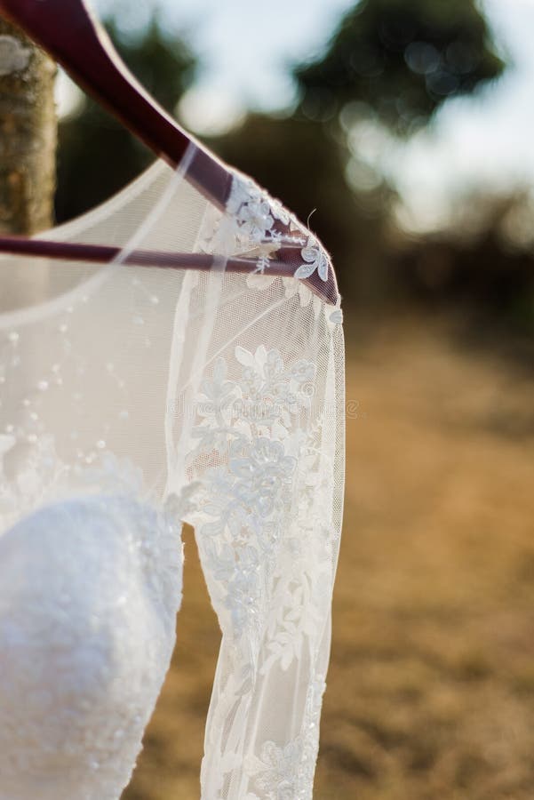 Wedding dress on a tree stock photo. Image of angle, wedding - 57680260