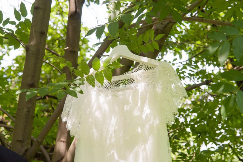 Wedding Dress on the Tree in Summer Forest. Stock Image - Image of ...