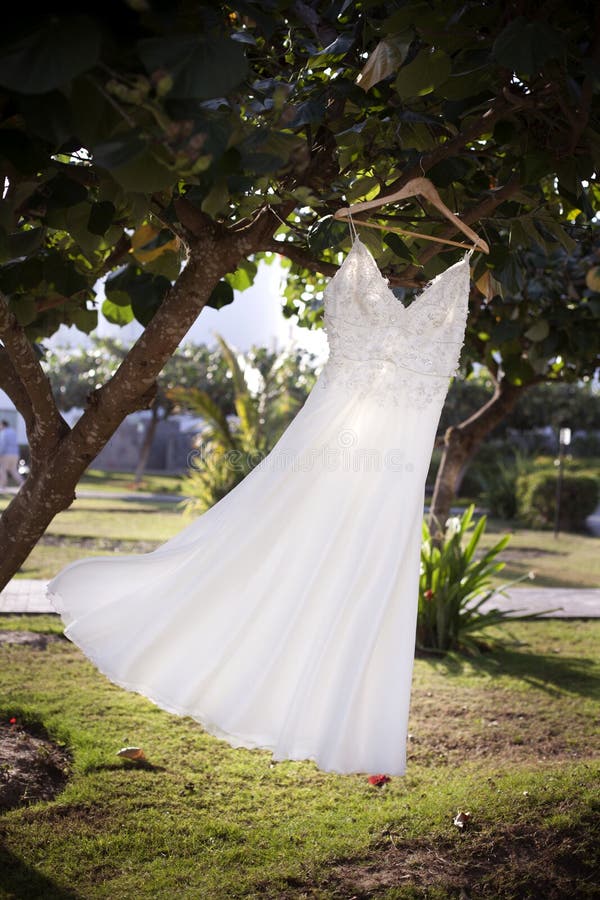 Wedding dress stock image. Image of spring, grass, green - 91294459