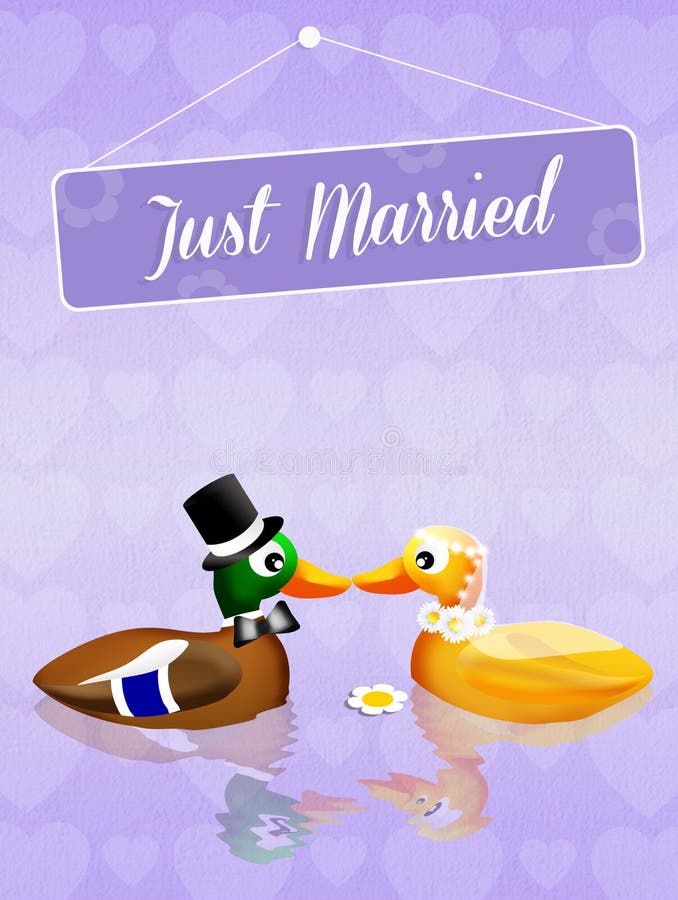 Wedding of ducks stock illustration. Illustration of engagement - 37212234