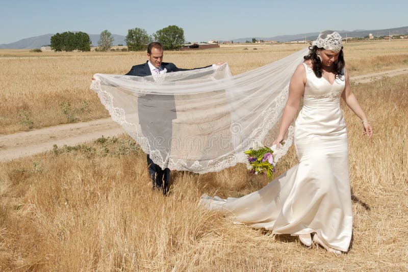 Wedding in the field stock image. Image of beautiful - 25867109