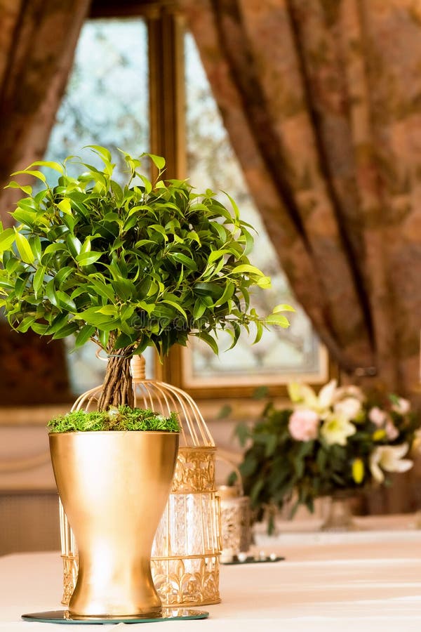 Wedding Floral Design. the Pot is on the Table Stock Photo - Image of ...