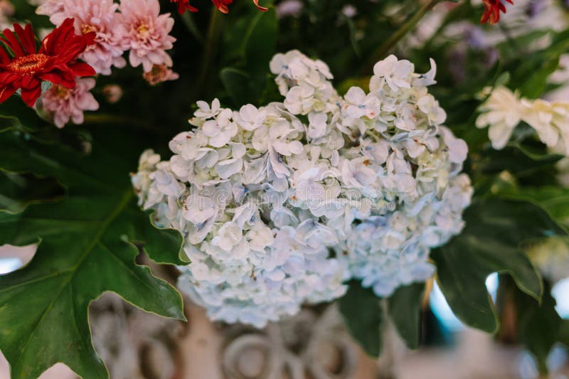 Wedding Flowers Arranged in a Decorative Display Stock Photo - Image of ...