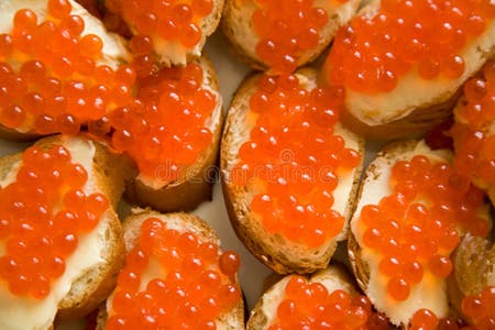 Wedding food stock photo. Image of restaurant, celebration - 5413976