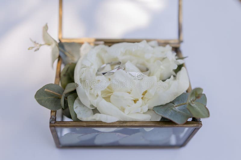 Wedding Gold Rings on a Ceremony Table Stock Photo - Image of romance ...