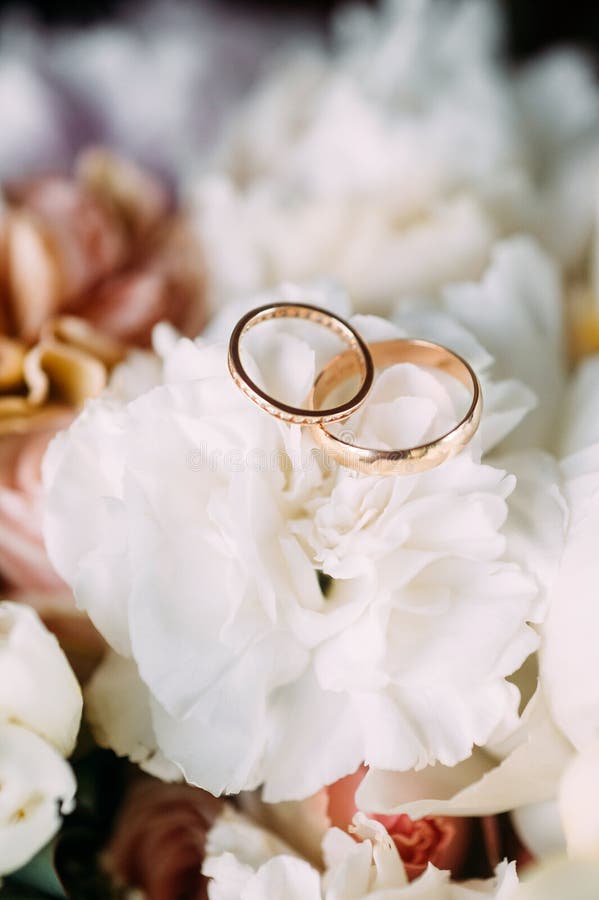 Wedding Gold Rings on Fresh Flowers Closeup Stock Photo - Image of ...