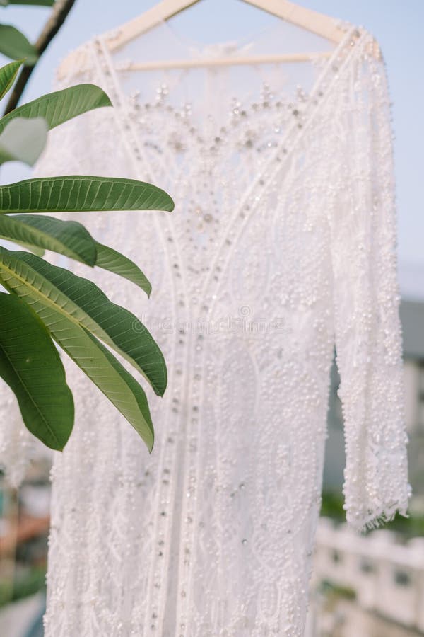 A Wedding Gown Elegantly Hung on a Tree Branch Stock Photo - Image of ...