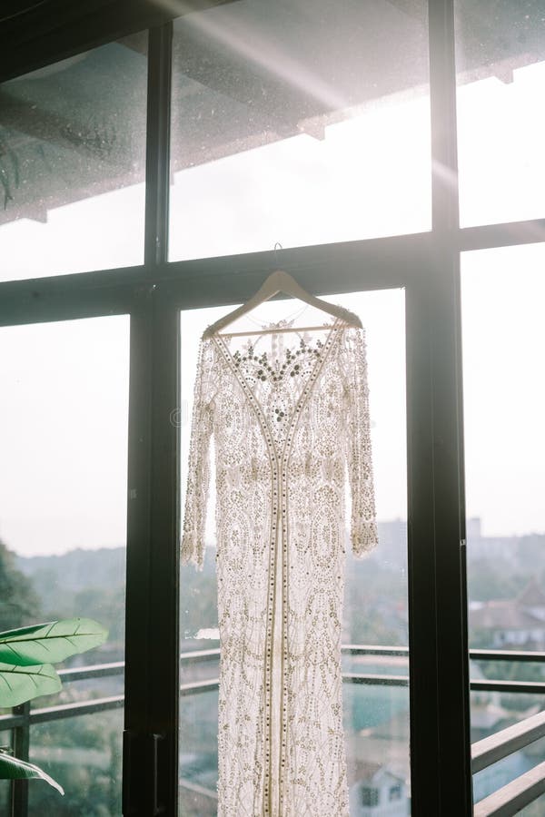A Wedding Gown Elegantly Hung on a Tree Branch Stock Photo - Image of ...