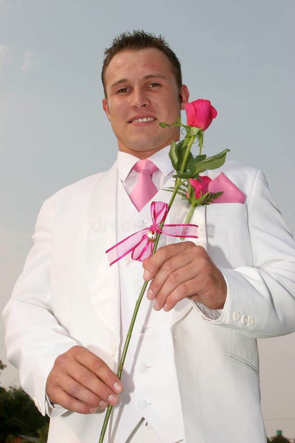 Wedding Groom stock image. Image of bridal, dream, formal - 826745