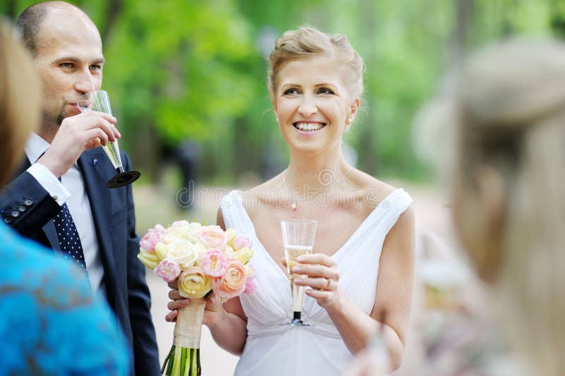 Wedding Guests Toasting Bride and Groom Stock Image - Image of enjoy ...