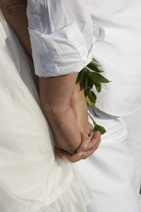 Wedding hands stock image. Image of lifestyles, romantic - 12499041