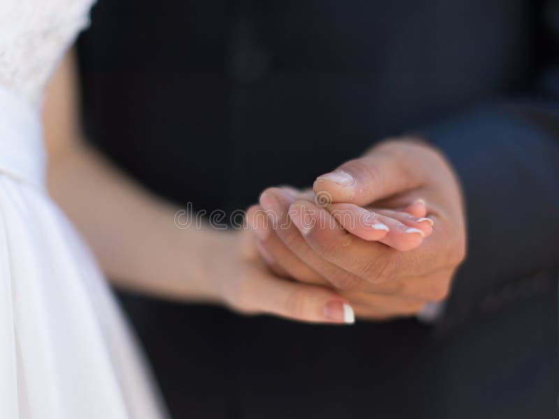 Wedding hands stock photo. Image of event, body, touching - 38754940