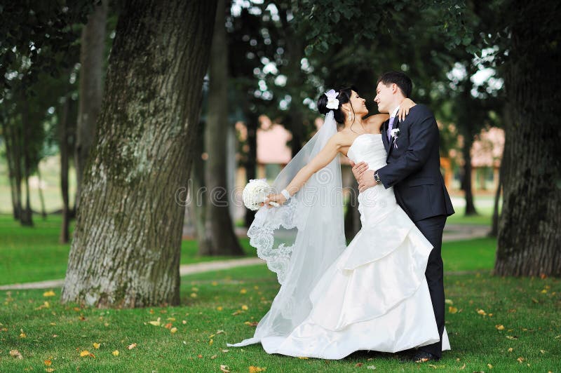 Wedding. Hugging Bride and Groom Stock Image - Image of bride, look ...