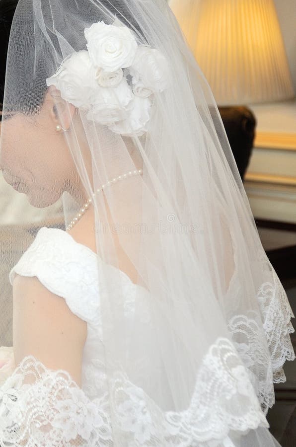 Wedding image stock photo. Image of elegant, confidence - 57867024