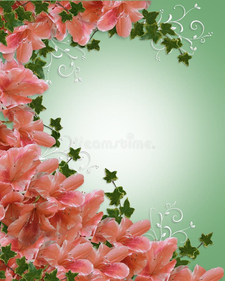 Collection of Floral Borders And Frames Photos, Illustrations ...